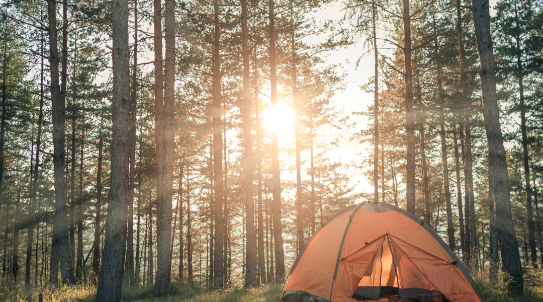 Ryan Fair – The Life And Times